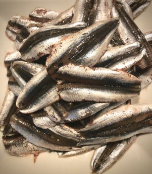 Sardinen ausnehmen und entgräten - Die Pfanne von harecker.de